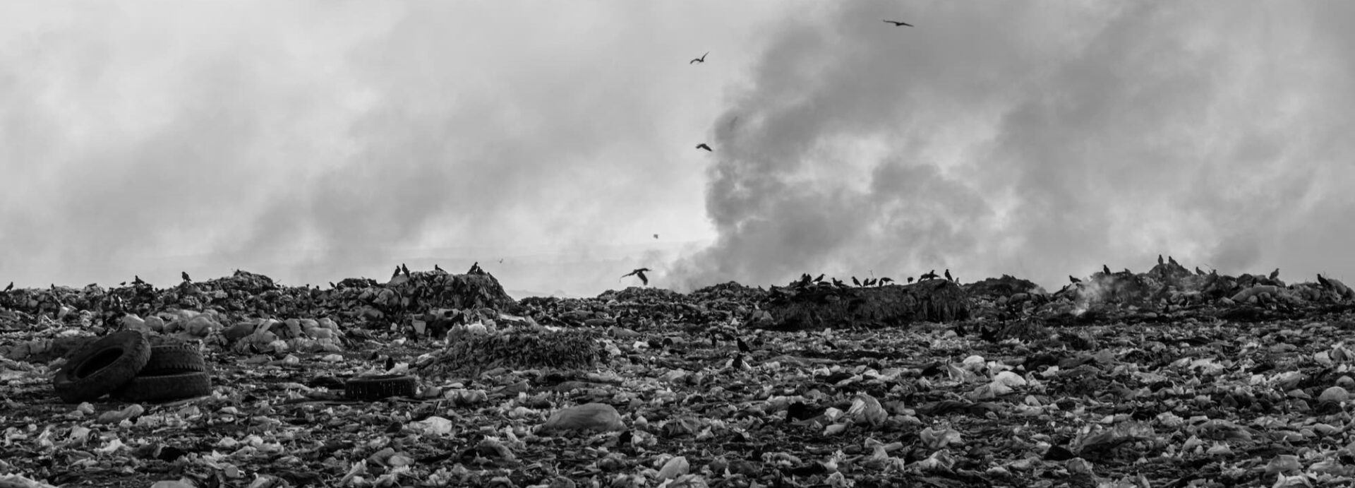 How to Reduce Landfill Waste | Tips for Reducing Landfill Waste