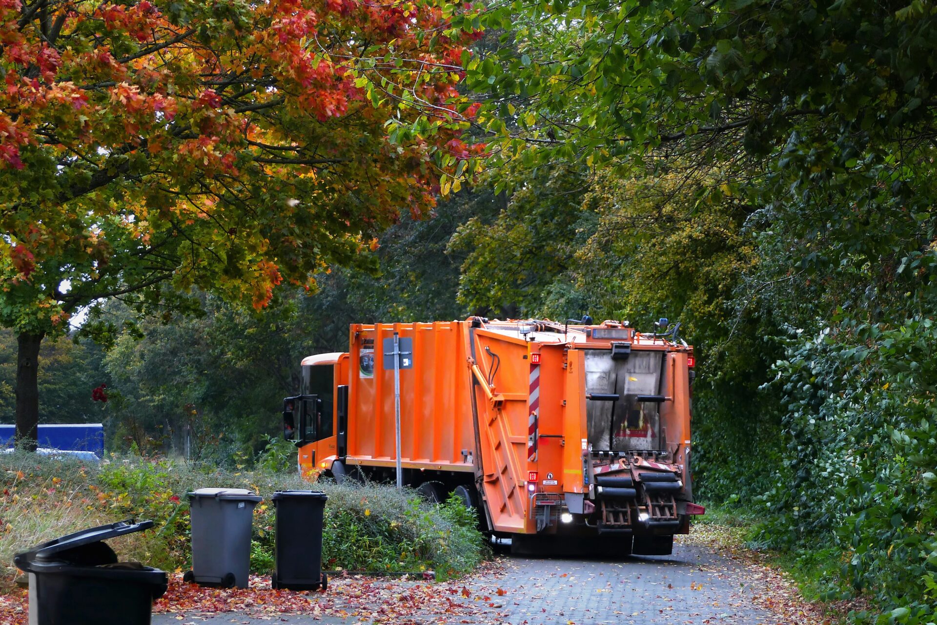 How Much Does Waste Management Cost? | Prices and Rates