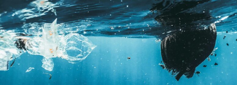 Ocean Trash Facts | How Much Garbage is in The Ocean?